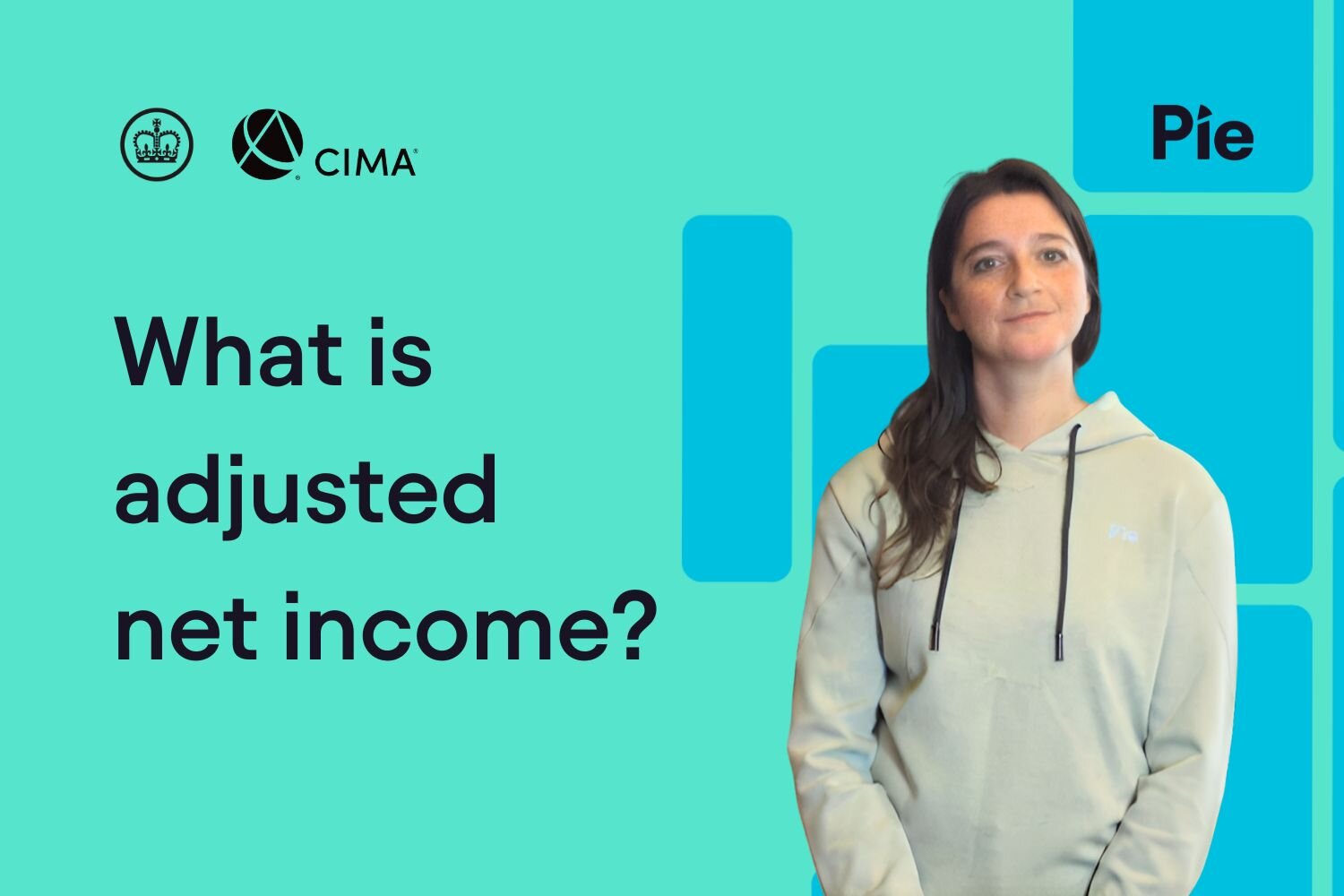 What is Adjusted Net Income?