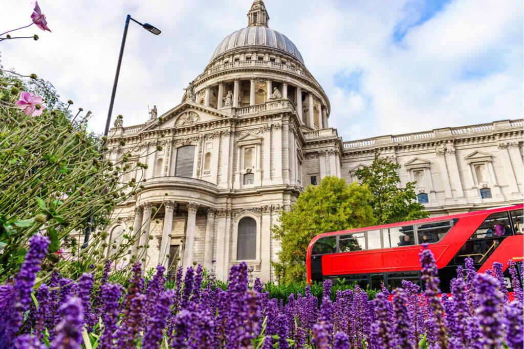 Understanding HMRC: The UK Tax Authority Explained