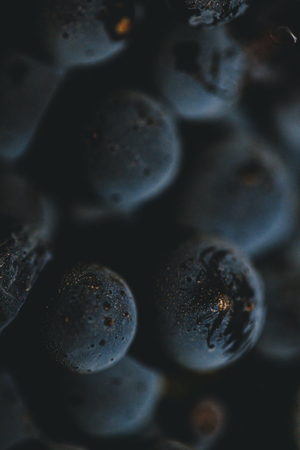 Patrimony Wines