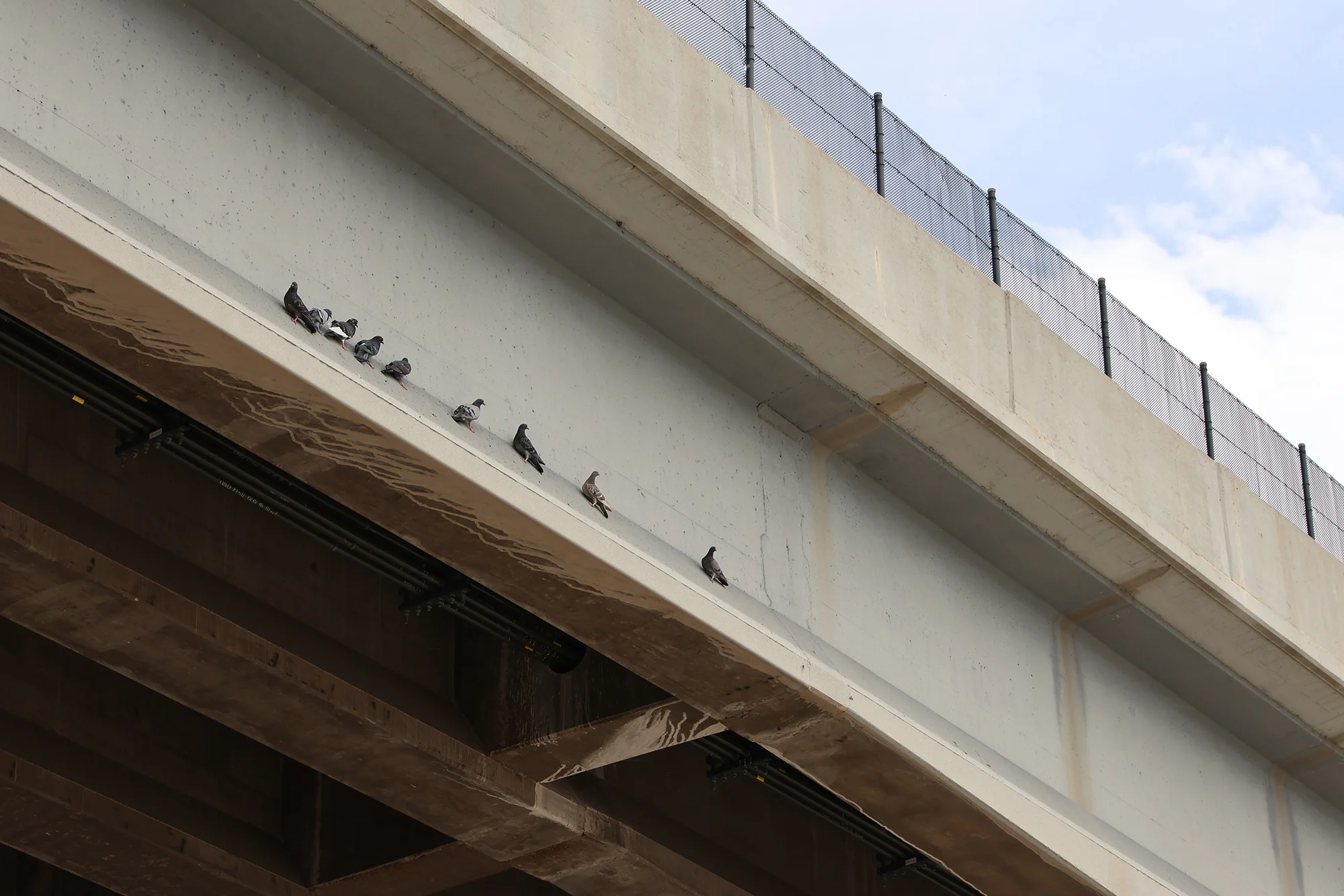 Denver’s hottest music venue is… under the highway? | Rocky Mountain PBS