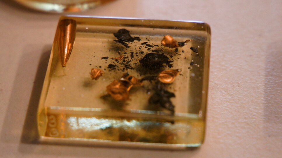 Hunters join forces with Colorado Parks and Wildlife to promote non ...