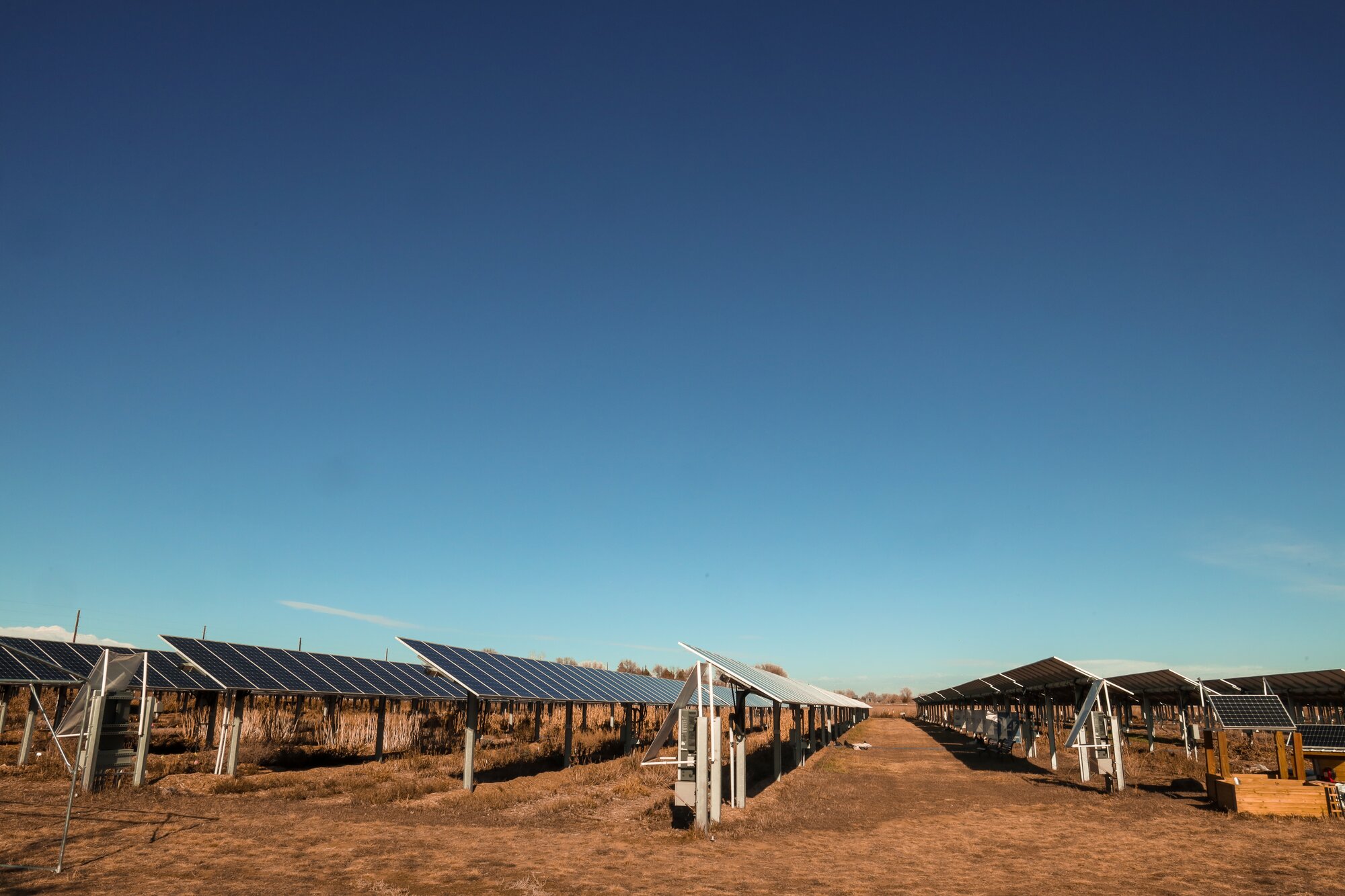 In Colorado, a marriage of solar energy and farming provides a model ...