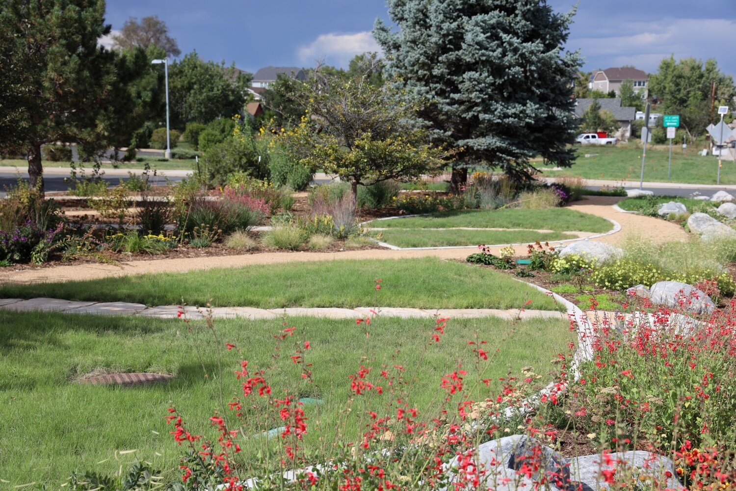 How landscaping plays a key role in the fight against climate change ...