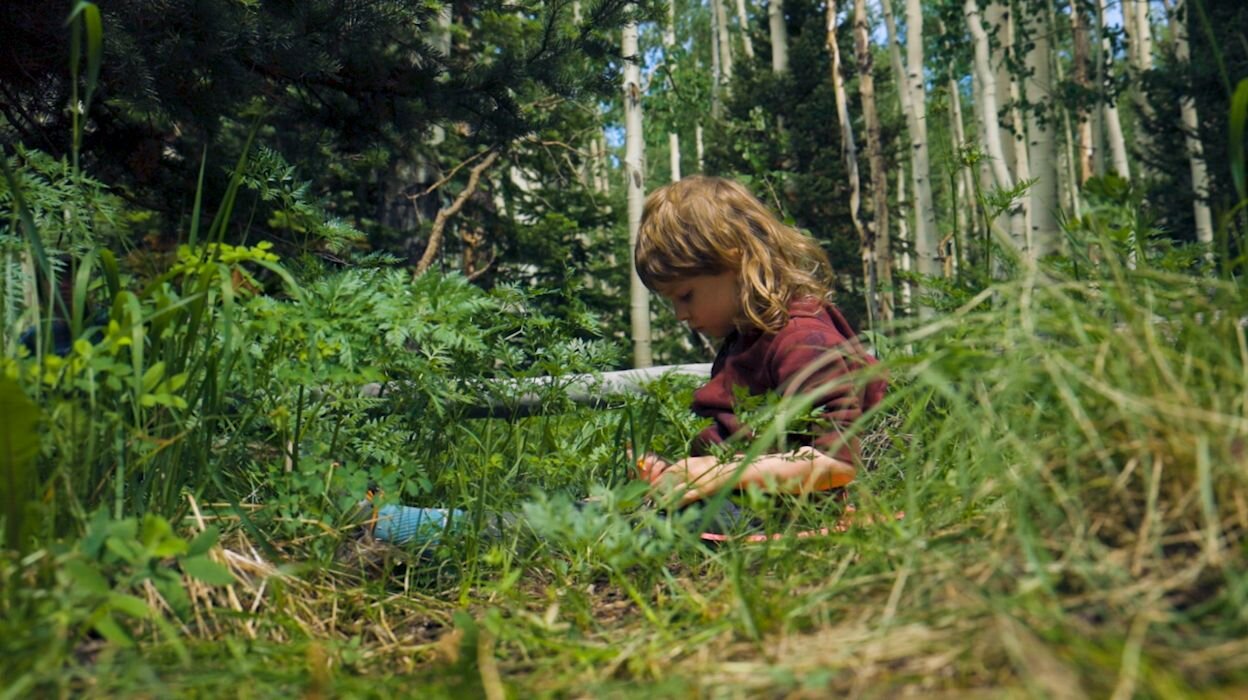 Rocky Mountain Biological Laboratory trains the next generation of ...