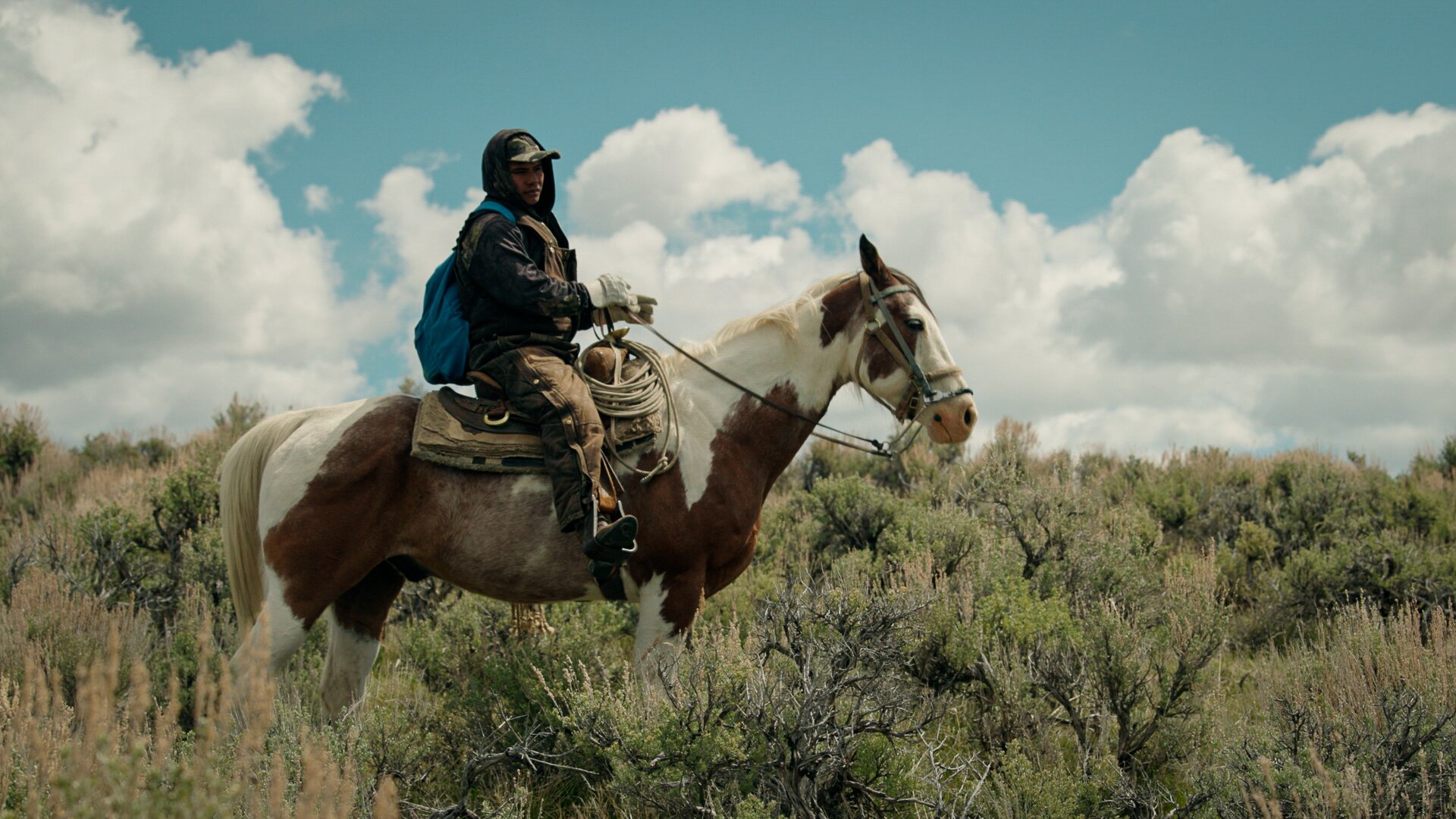 Alone in the wilderness: The lives and work of Colorado sheepherders ...