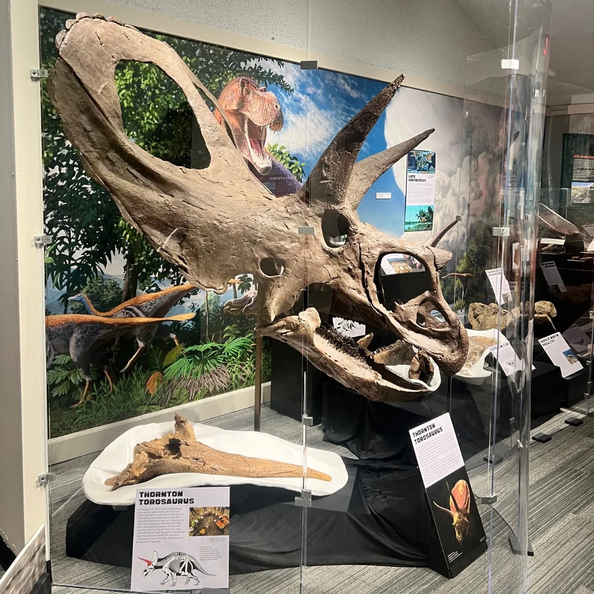 Dinosaur Week 2025 Has Arrived! | Rocky Mountain PBS