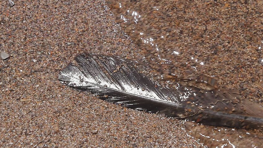 The Ute Water Legacy | Rocky Mountain PBS