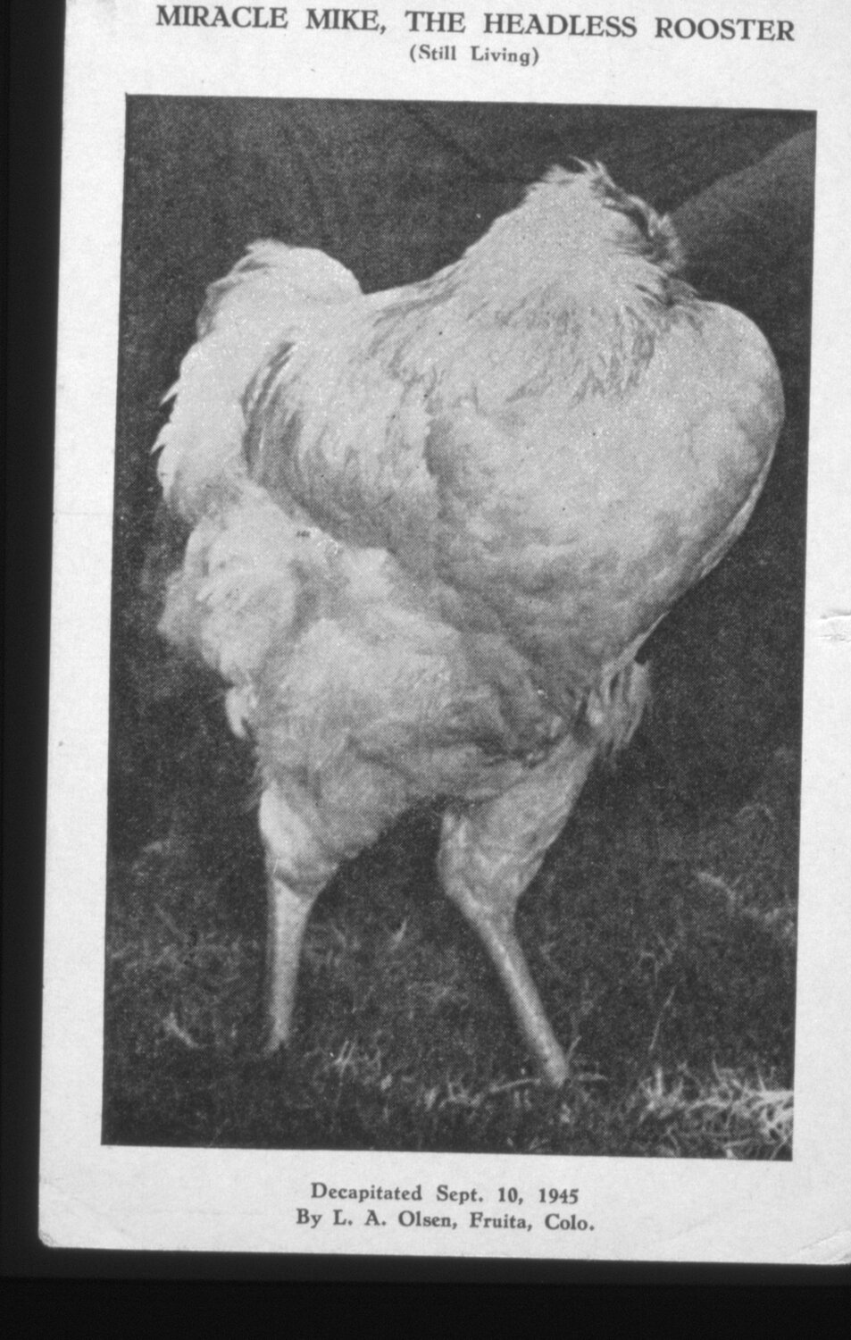 Headless in Fruita | Rocky Mountain PBS