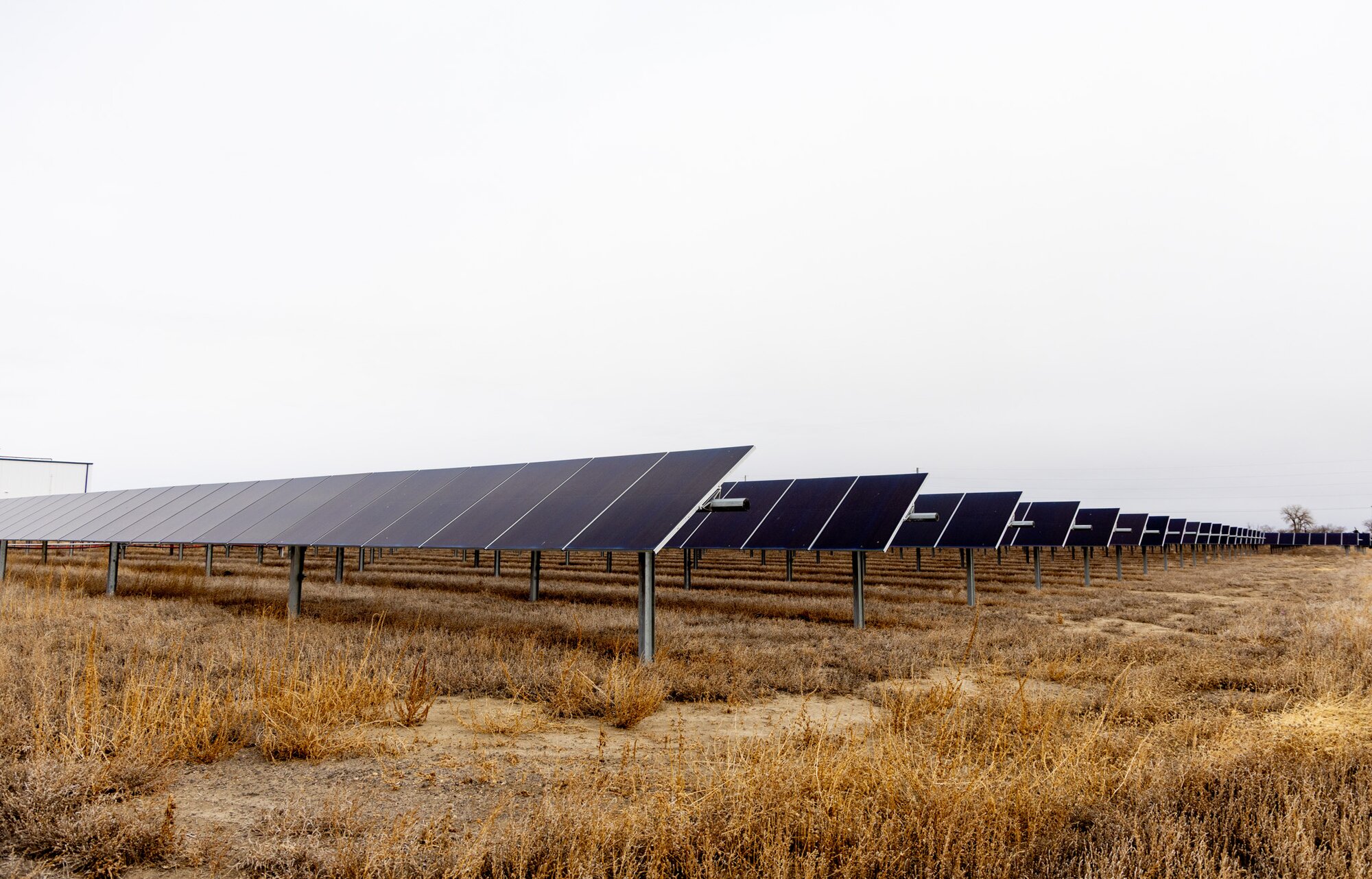 Sprawling solar farm in Fort Morgan goes online | Rocky Mountain PBS