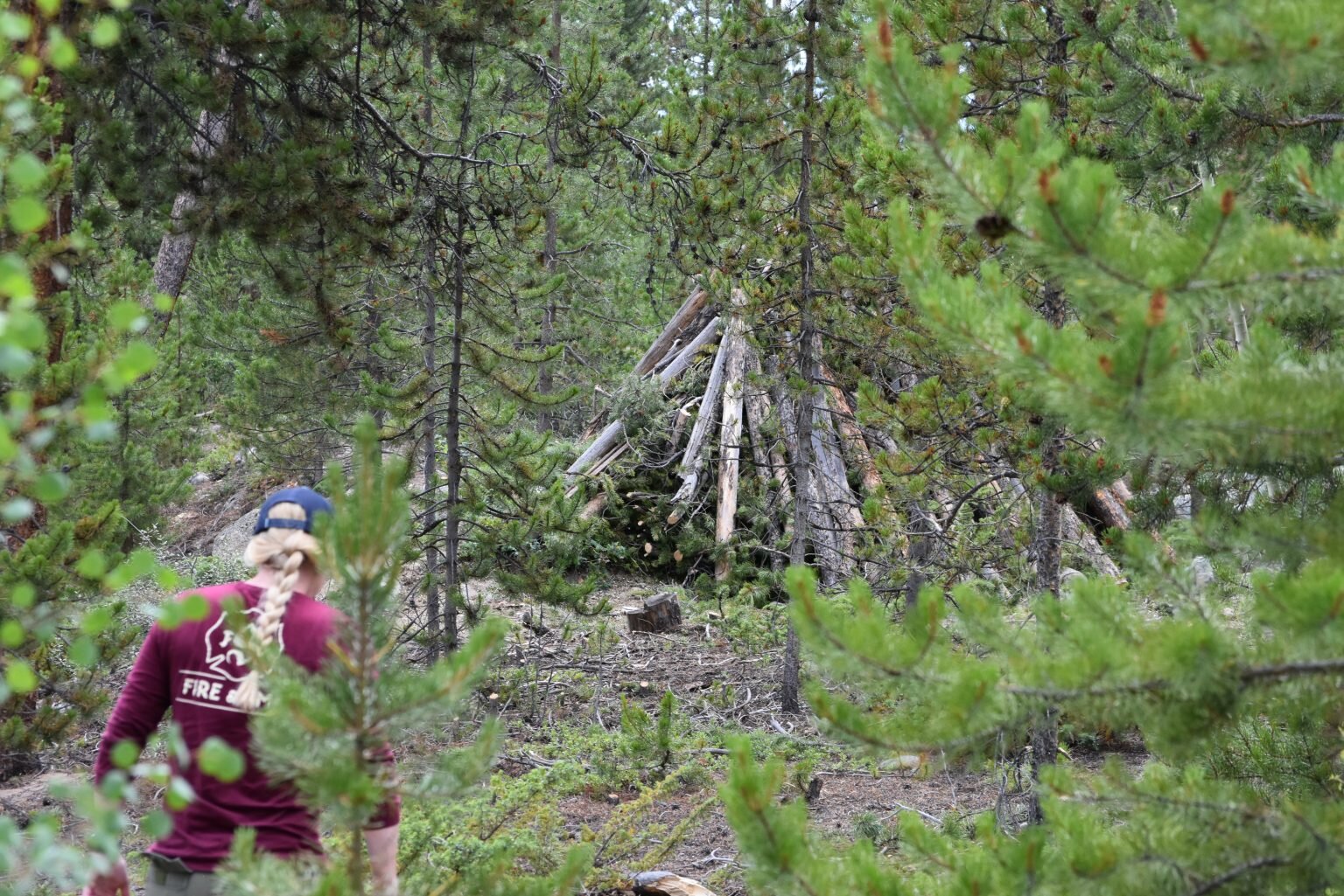 Colorado state forester, fire chiefs raise alarm about further federal ...