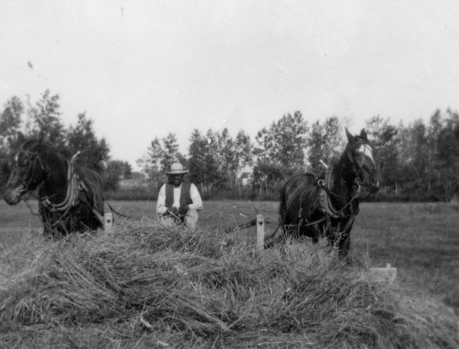Dearfield once thrived in the plains of Colorado. A new effort plans to ...