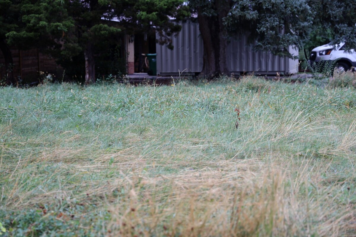 How landscaping plays a key role in the fight against climate change ...