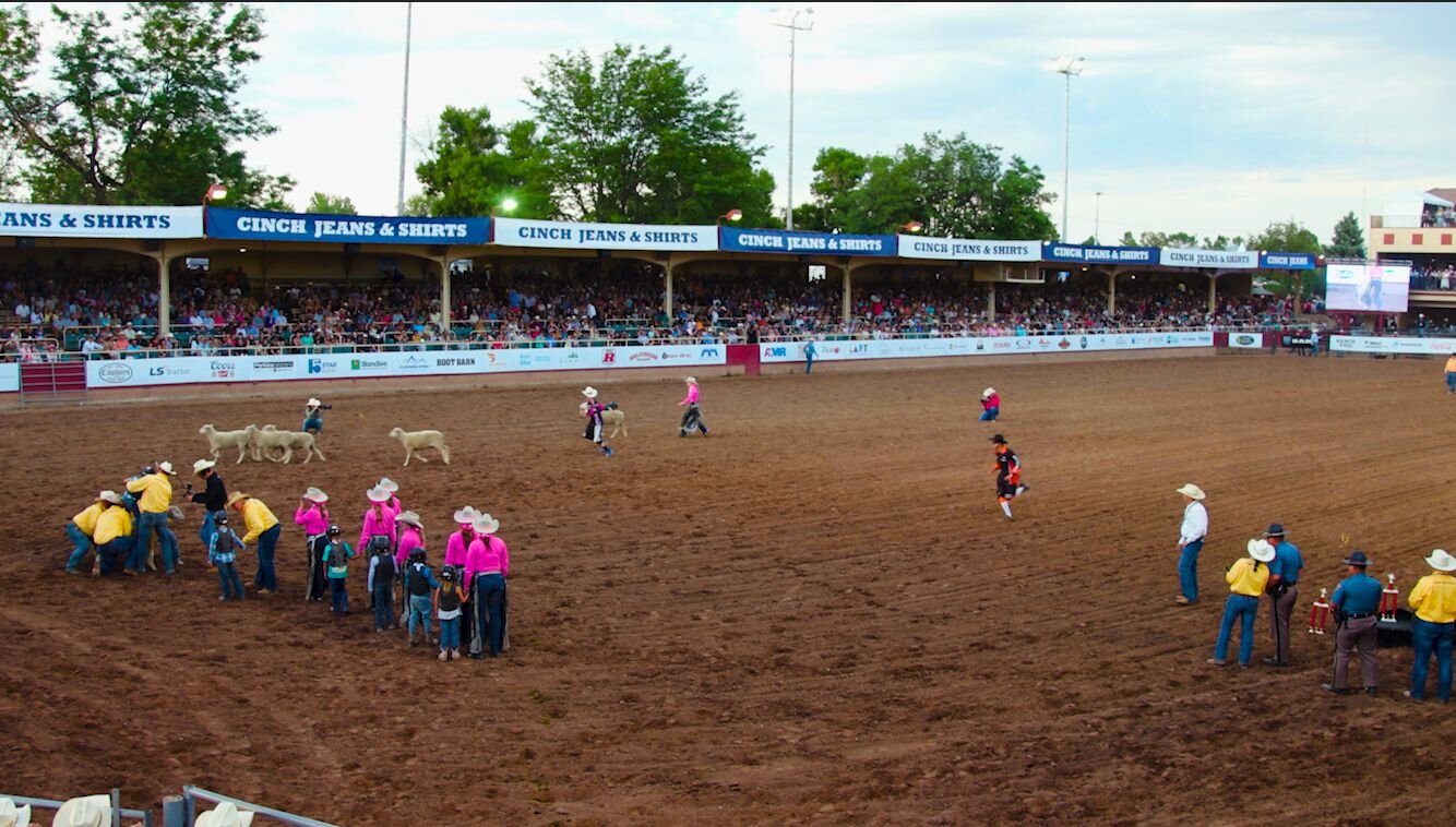 Baa Baa Buckaroos continue Mutton Bustin’ tradition at Pikes Peak or ...