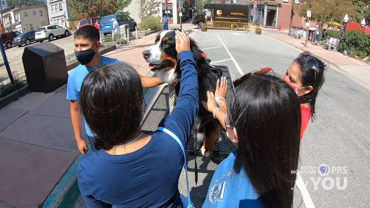 "Who doesn't love a furry mayor?" | Rocky Mountain PBS