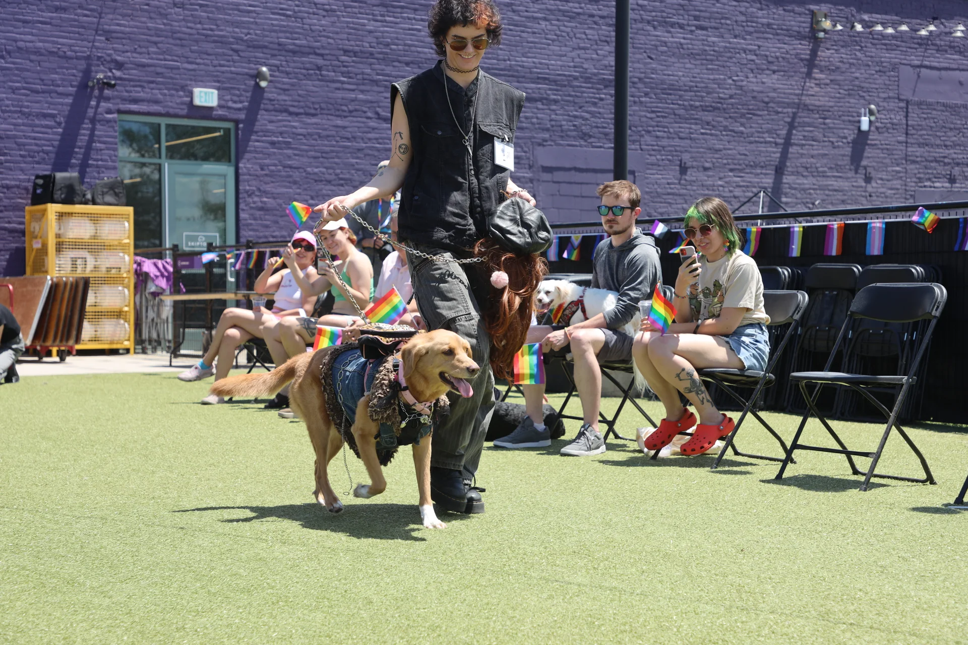 Inside the Mutt Strut, Denver Pride’s dog drag show | Rocky Mountain PBS
