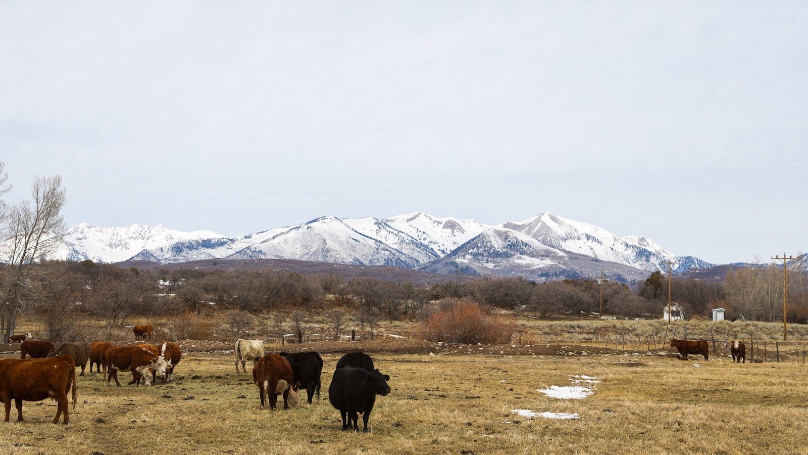 Farming is hard. Farming at high elevation is even harder. | Rocky ...