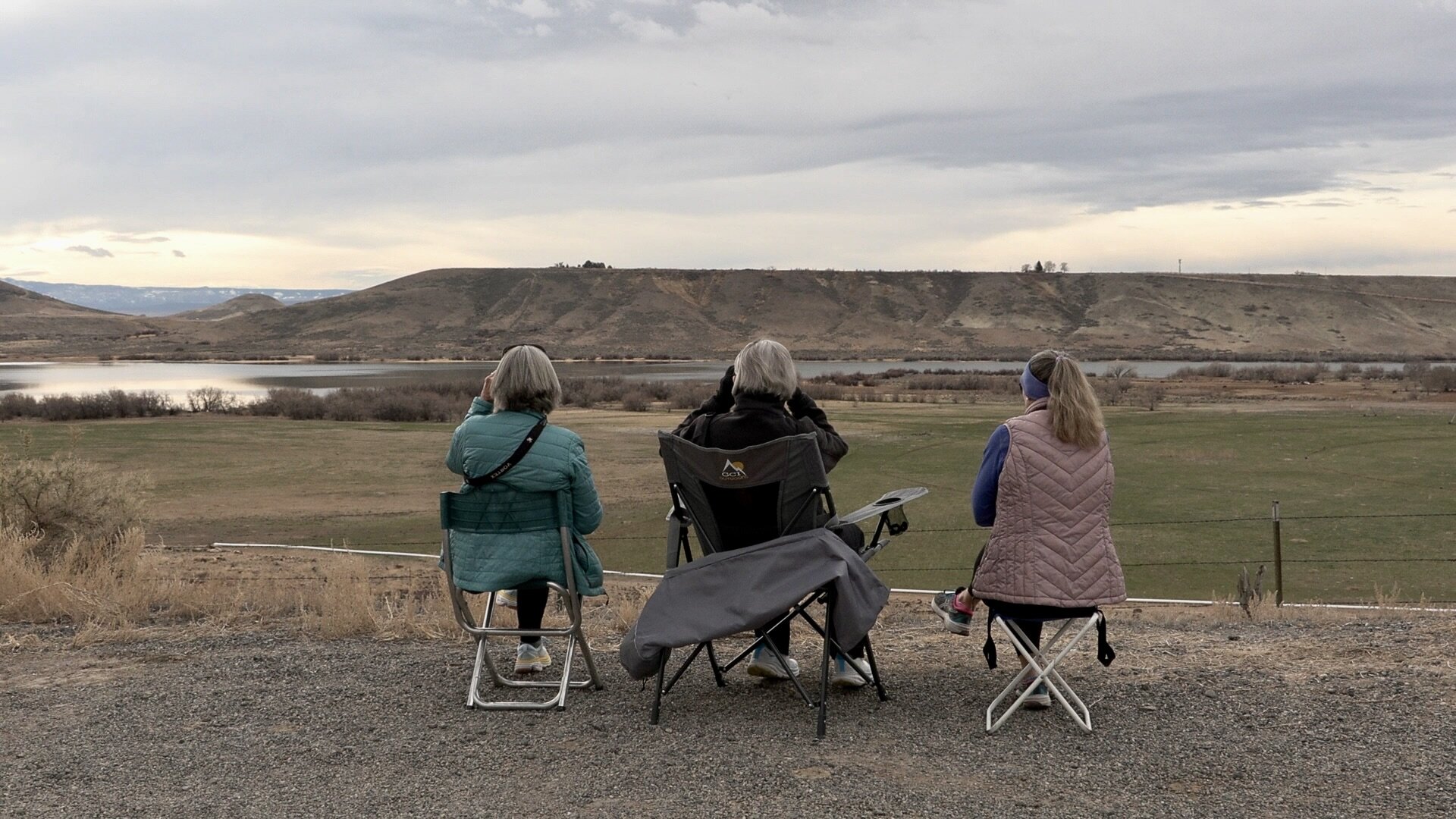 Eckert, Colorado becomes Sandhill Crane rest-stop in epic migration ...