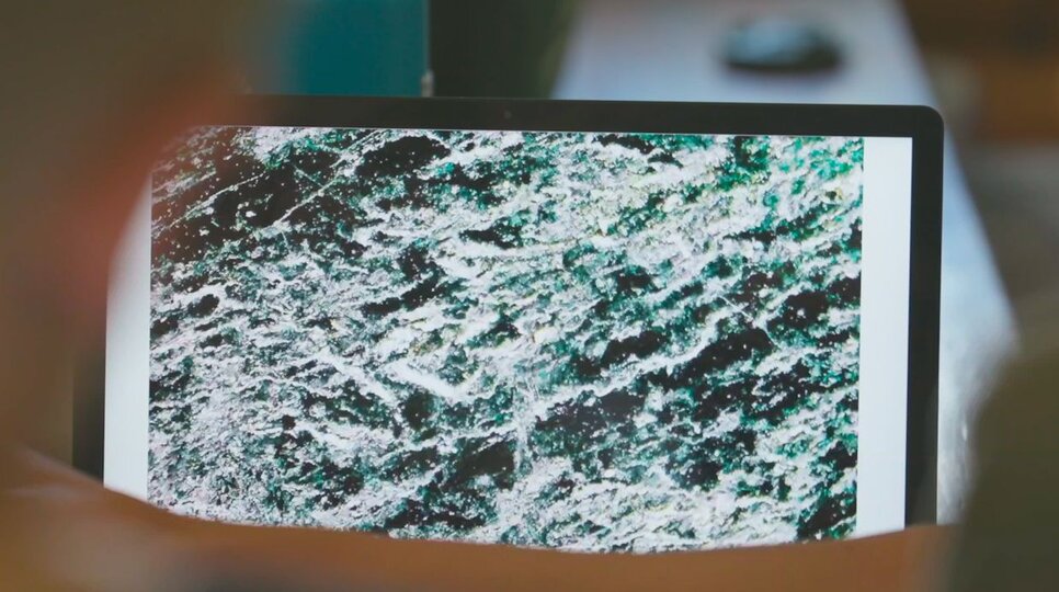 Rocky Mountain Biological Laboratory trains the next generation of ...