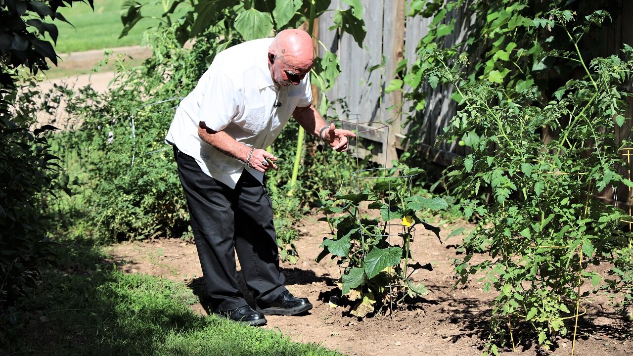 The short-handled hoe reaps back pain sowed in Colorado’s fields ...