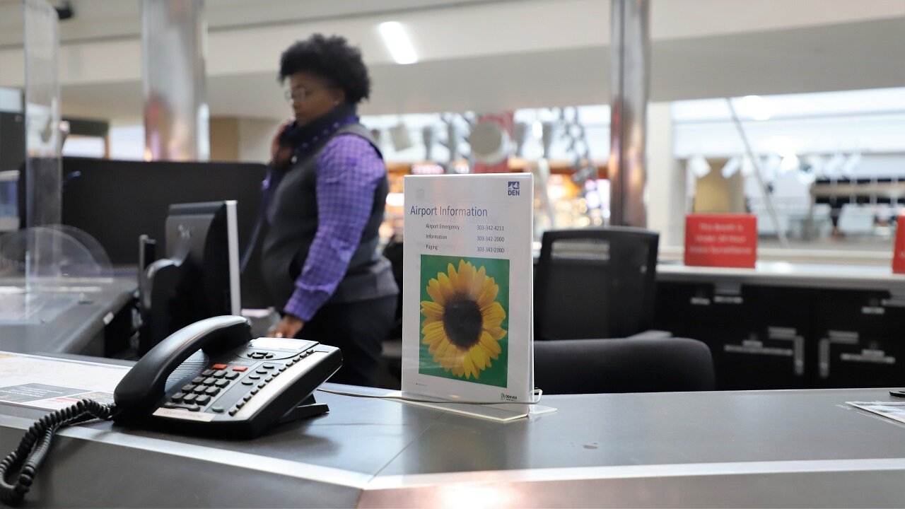 Empowered by sunflowers: The inclusive program now at Denver ...