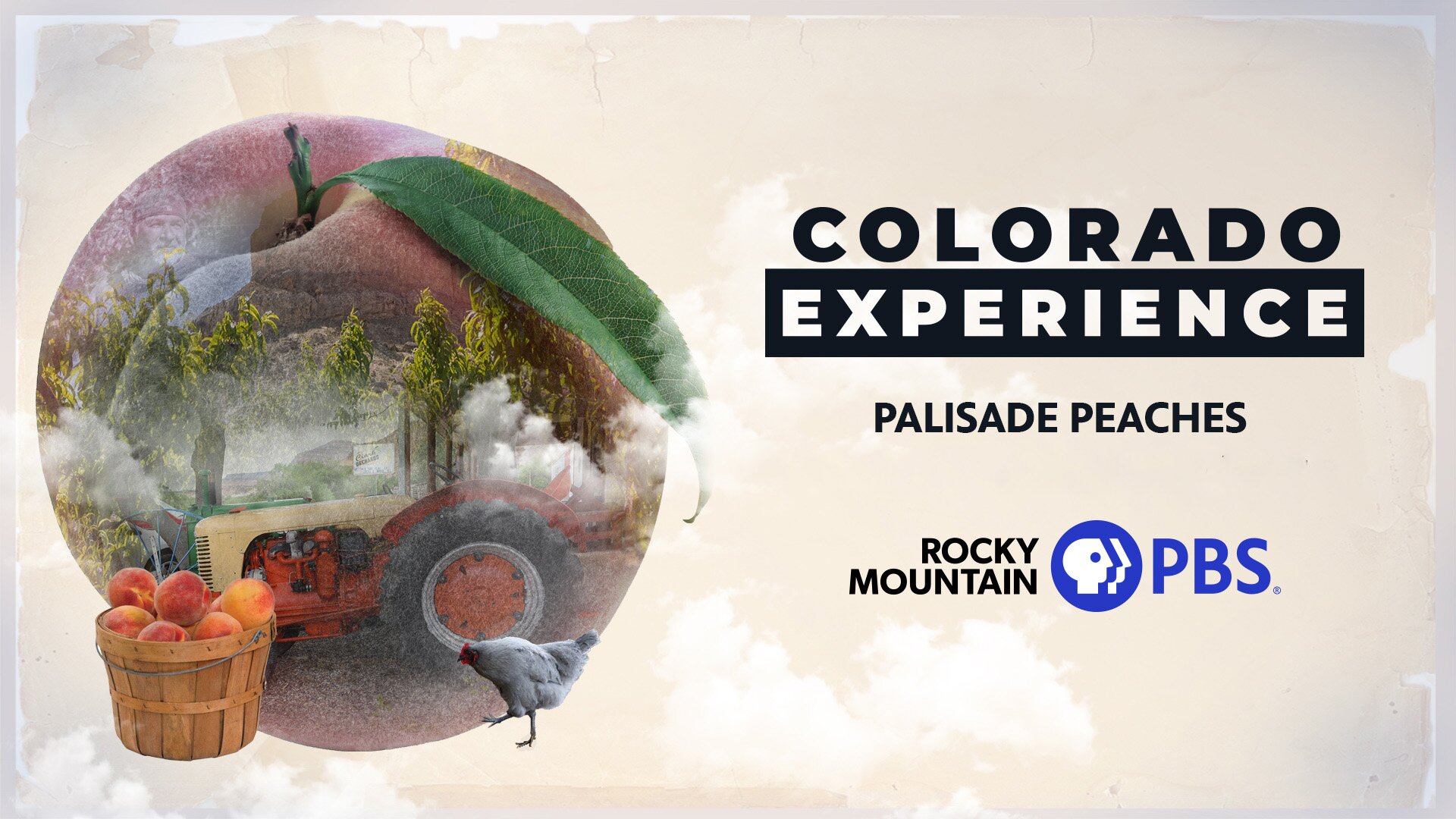 Palisade Peaches | Rocky Mountain PBS
