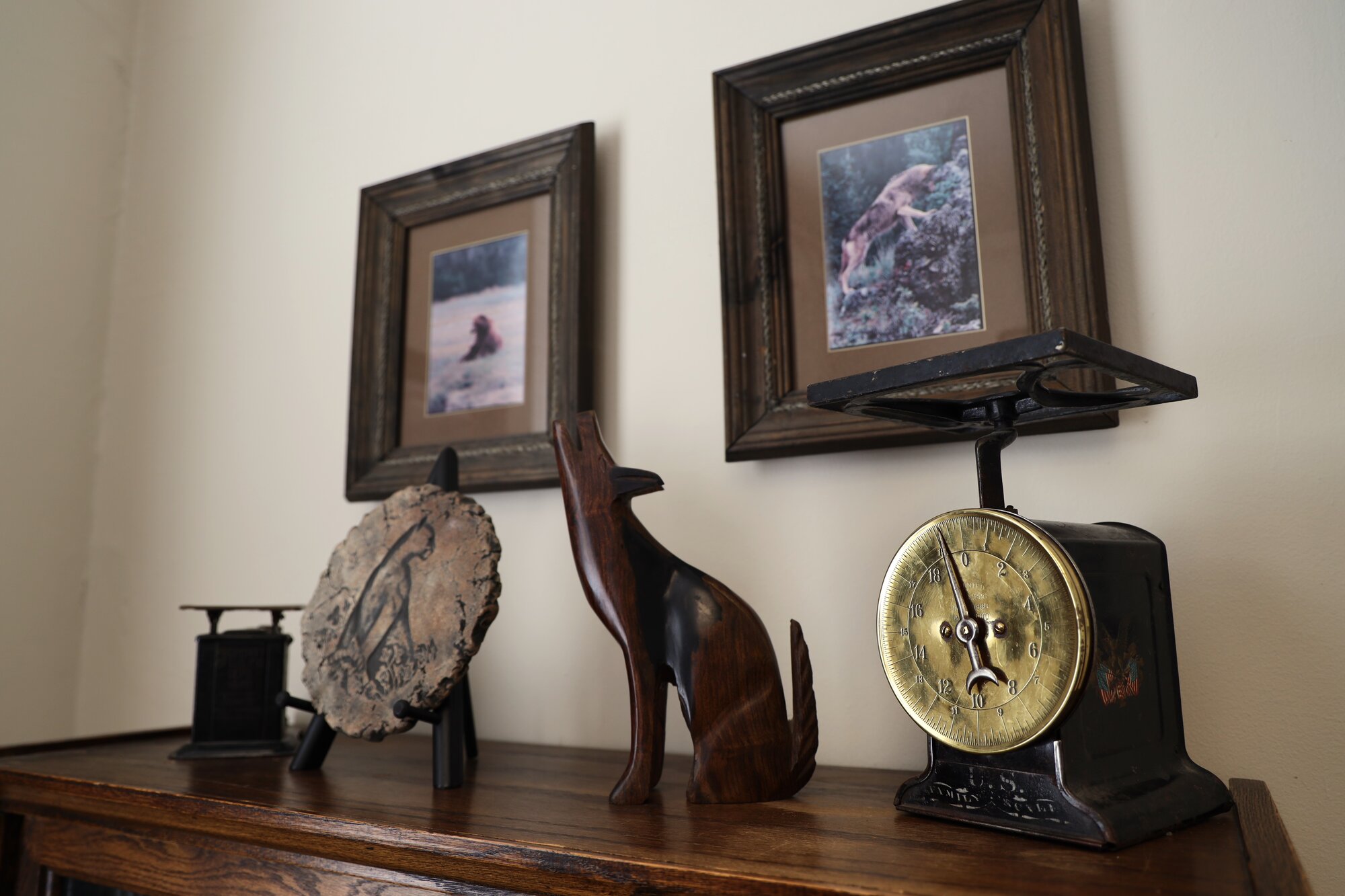 Wolf myth-busting with wildlife biologist Kevin Crooks | Rocky Mountain PBS