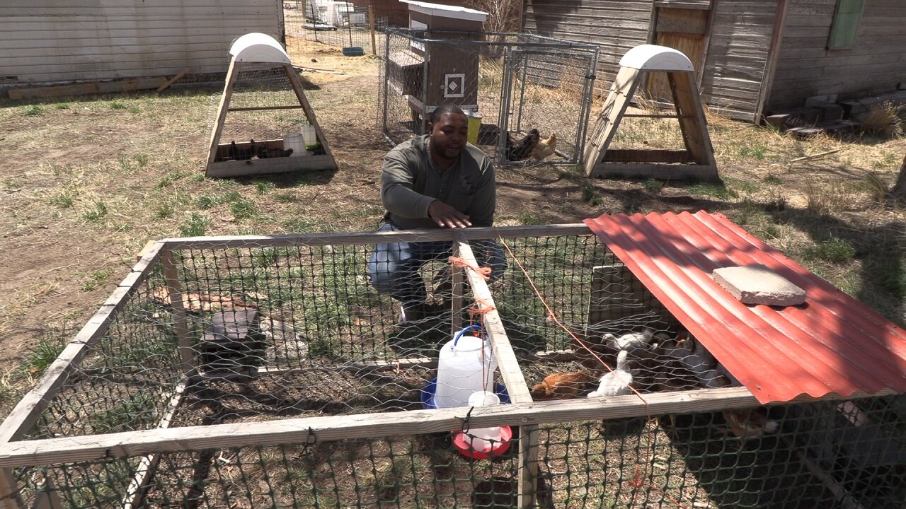 A new take on a historic practice: Homesteading at Wild Boyd Farm ...