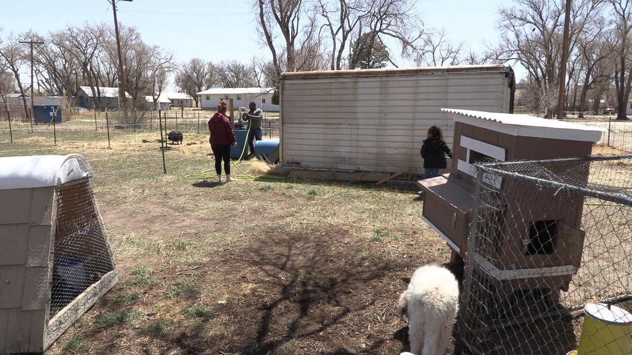 A new take on a historic practice: Homesteading at Wild Boyd Farm ...