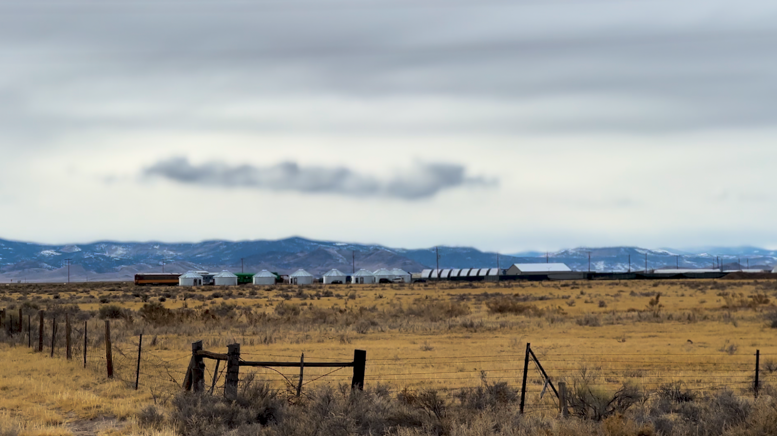 How Moffat, Colorado is learning to love its 420-acre cannabis farm ...
