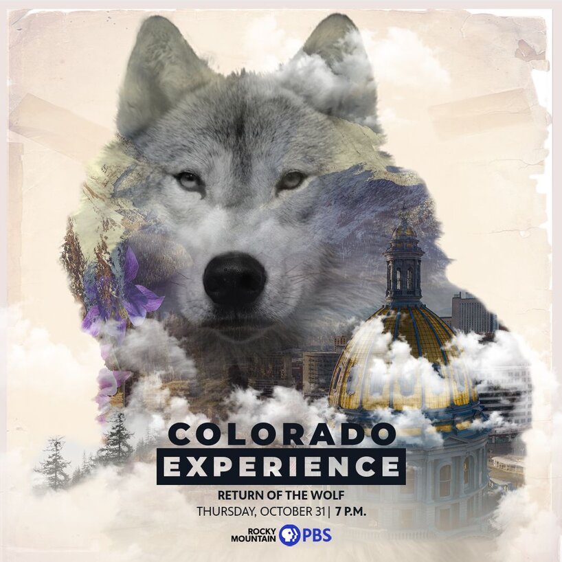 Colorado Experience Season 11 | Rocky Mountain PBS