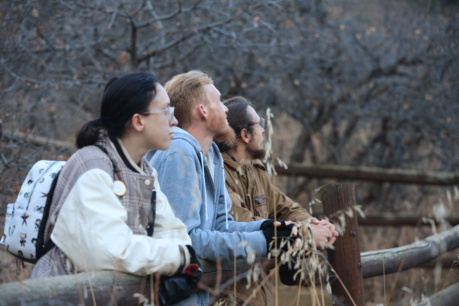 Looking back at America’s mountain 217 years after Zebulon Pike | Rocky ...