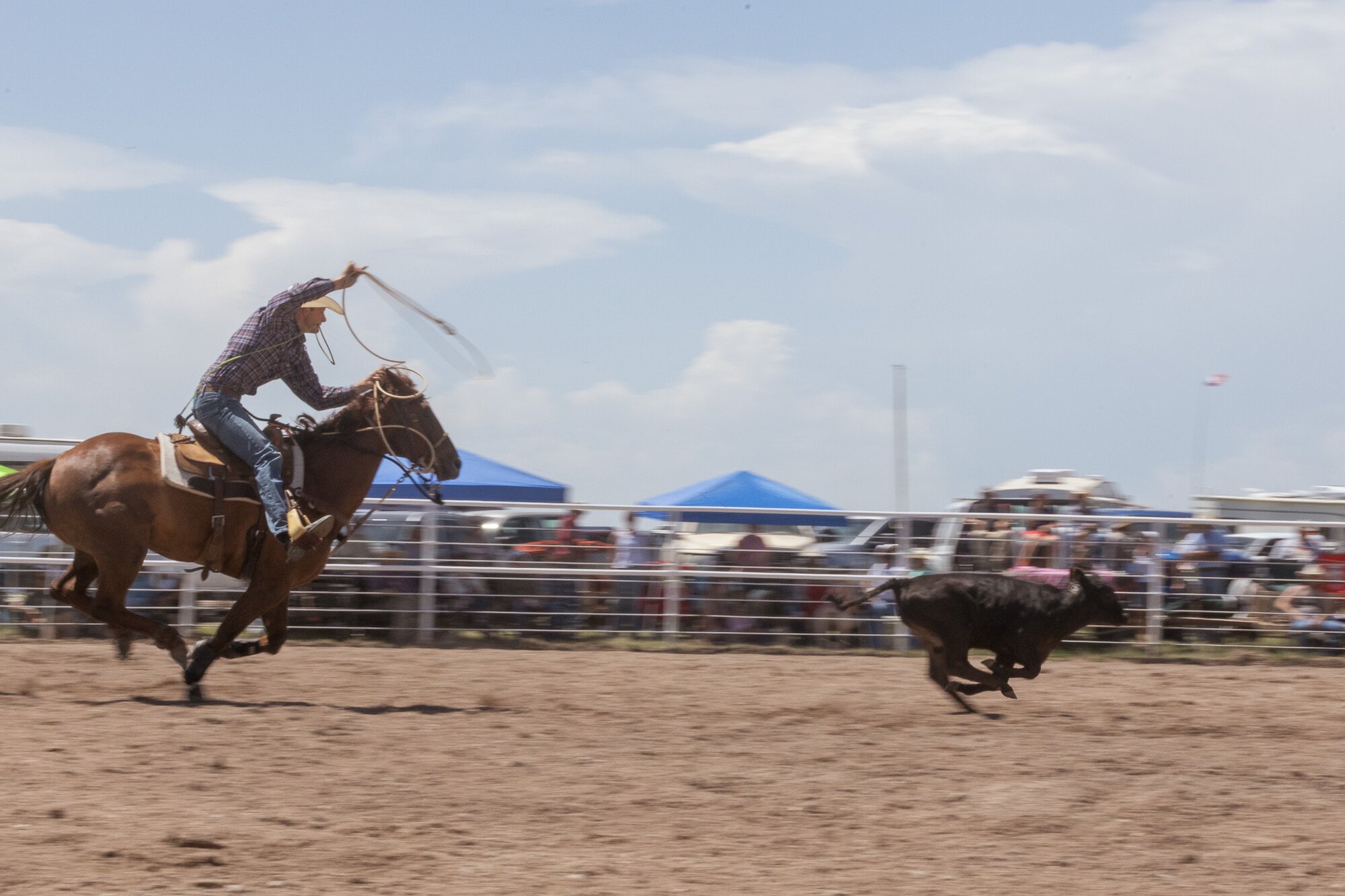 How a Father’s Day rodeo became Grover’s pride and joy | Rocky Mountain PBS