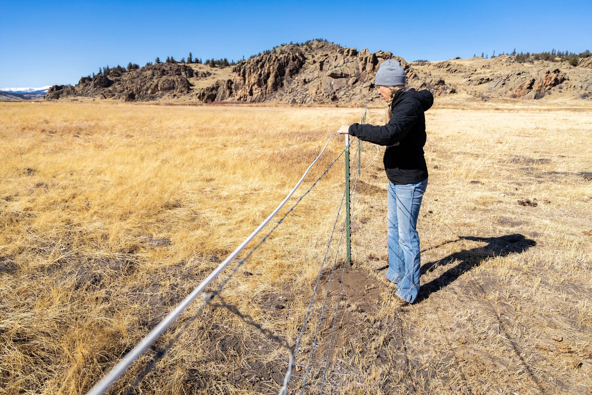 A ranch older than Colorado is forging new paths in ecological ranching ...