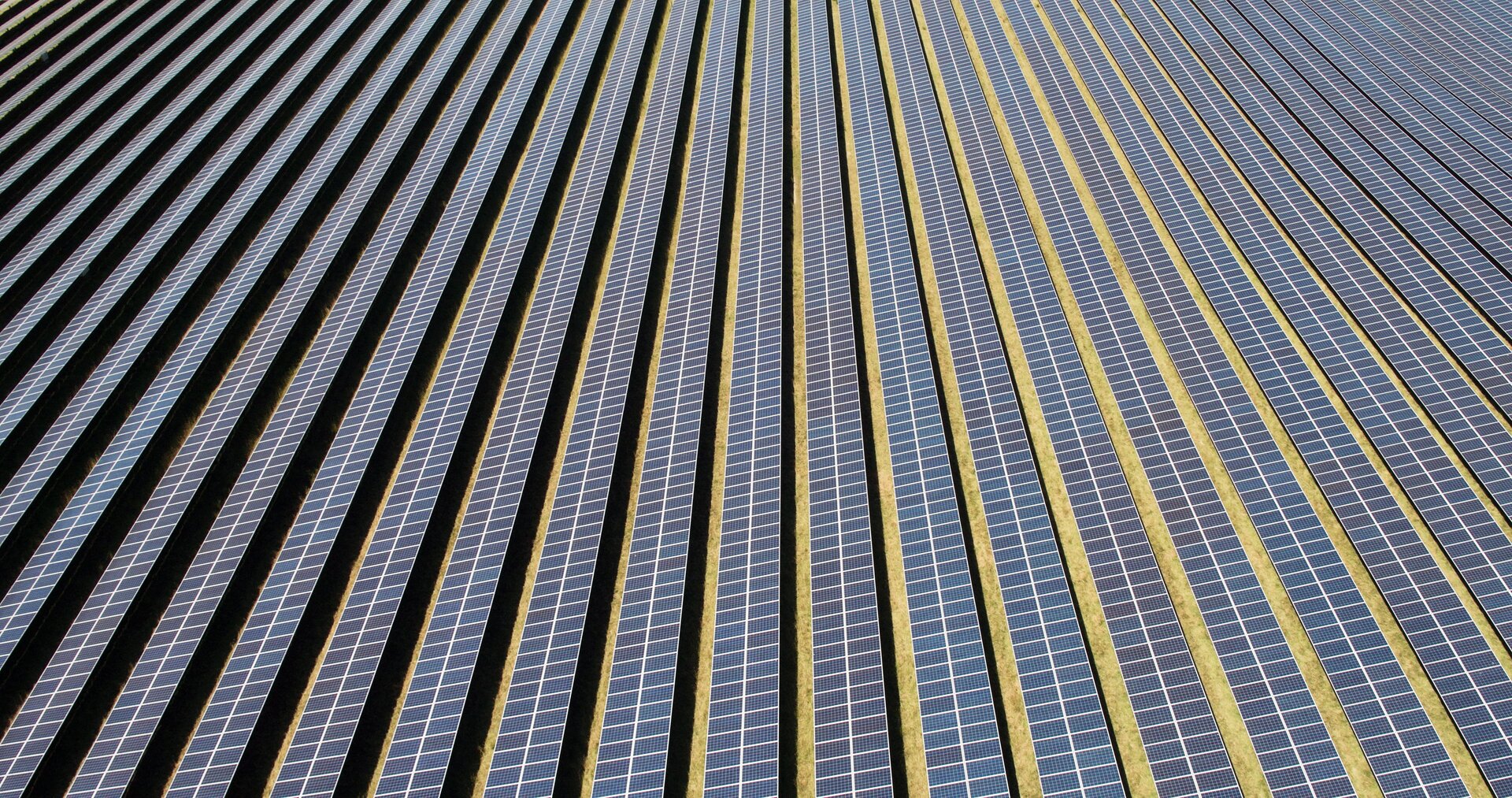 Corporate progress toward net-zero: A C-level pulse check | Schneider ...
