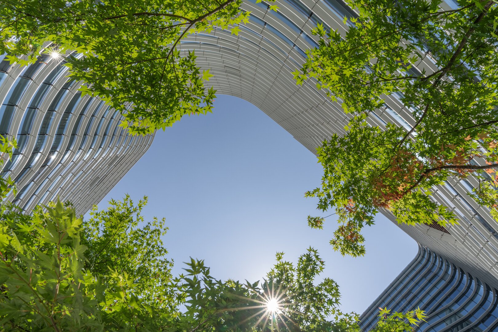 Corporate progress toward net-zero: A C-level pulse check | Schneider ...