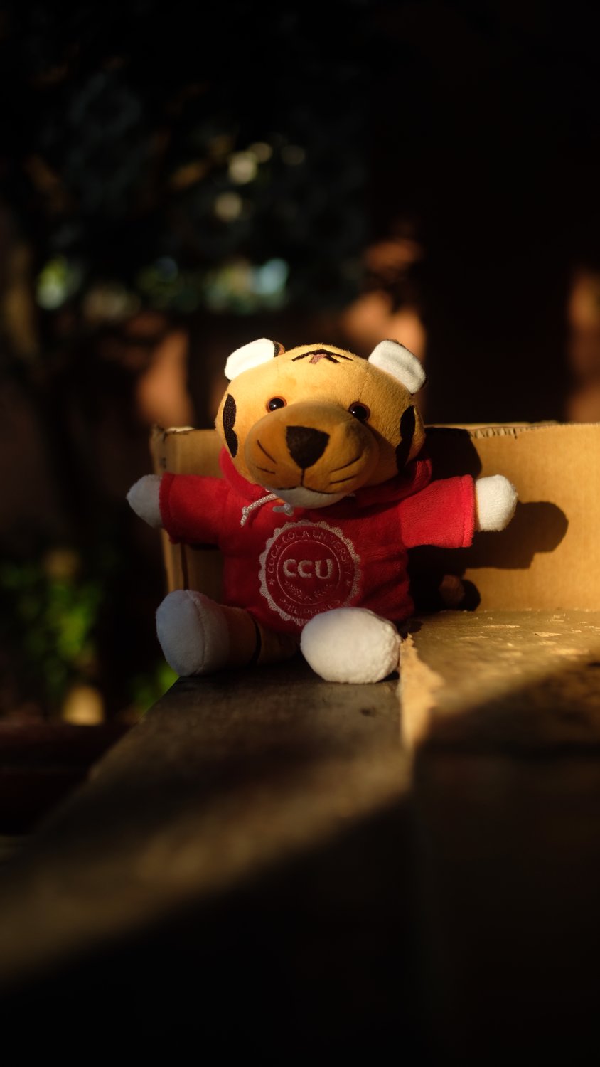 Branding & Visual Identity for a World-Class Corporate University ...