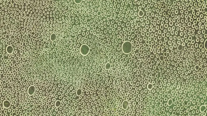 How to write a treatment plan for OCD | Headway