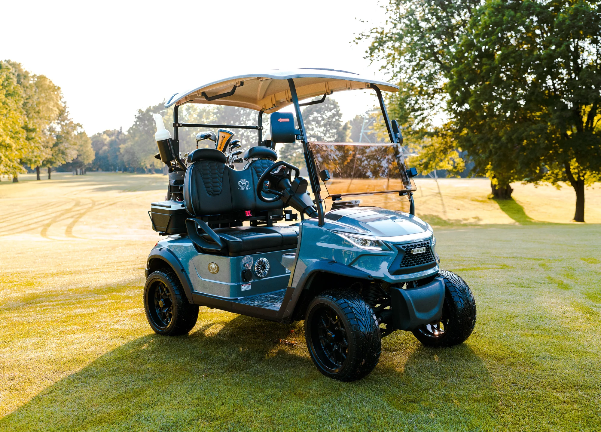 Best Electric Carts for Seniors | Small Town EV