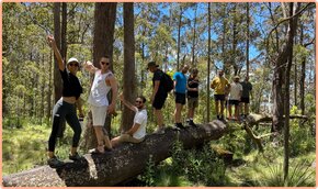 Careers | Humanitix Ticketing Platform