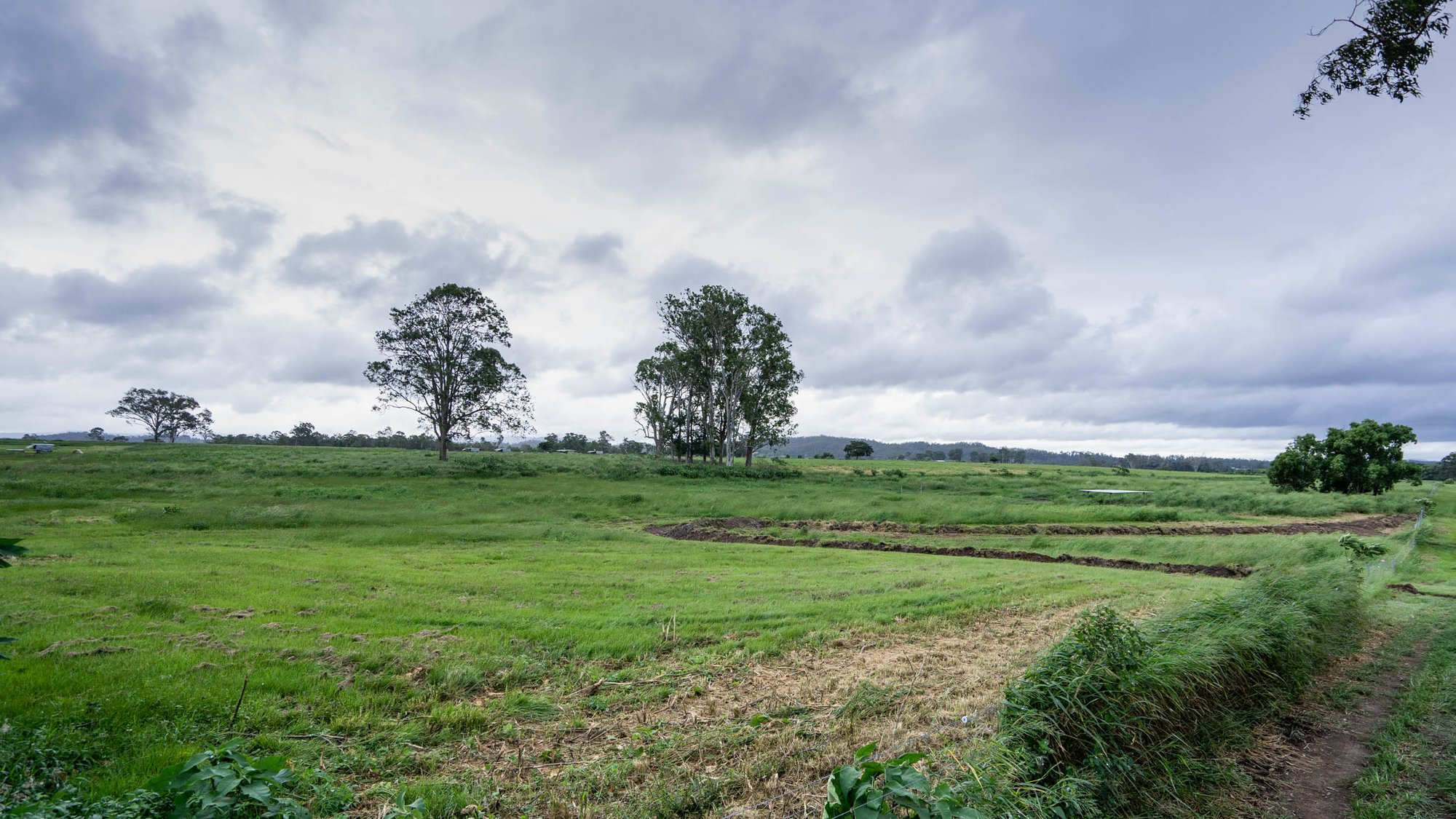 Natural Sequence Farming