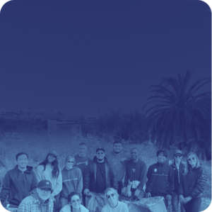 Impact Overview | TOMS