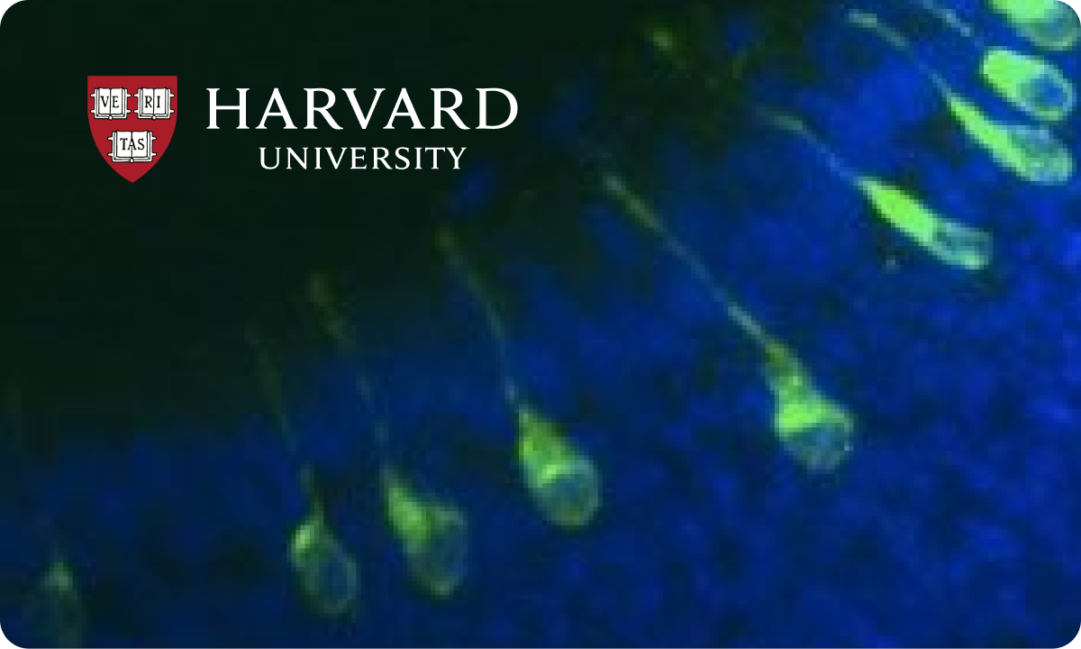 Data Engine Data Annotation Collection And Curation Platform Scale Ai