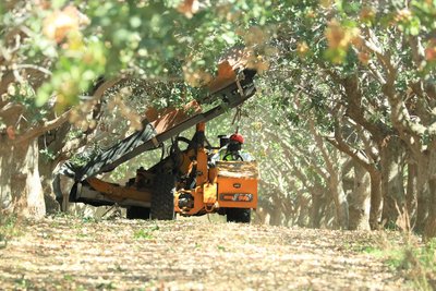 Wonderful Orchards | Wonderful Careers