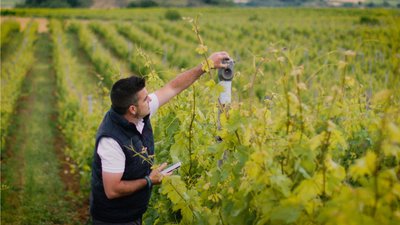 Suterra | Wonderful Careers