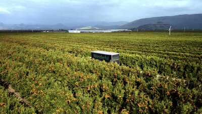 Home | Wonderful Careers