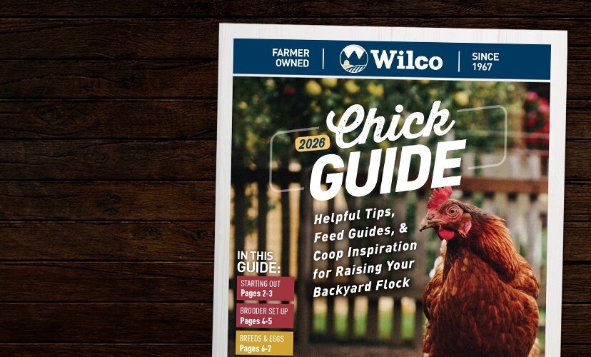 Shop Home, Backyard, Pet, Farm & Rural Lifestyle - Wilco Farm Stores