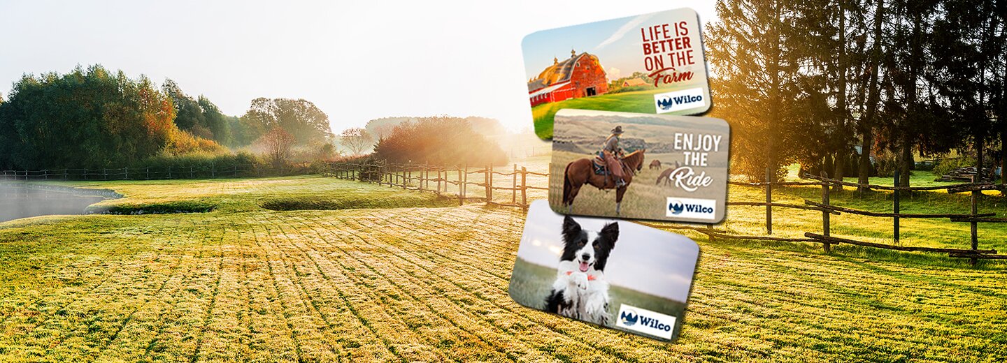 Giftcards | Shop Home, Backyard, Pet, Farm & Rural Lifestyle - Wilco ...