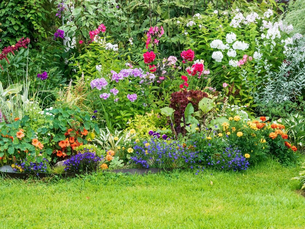 10 Standout Annuals & Perennials to Plant This Spring – March 4, 2026 ...