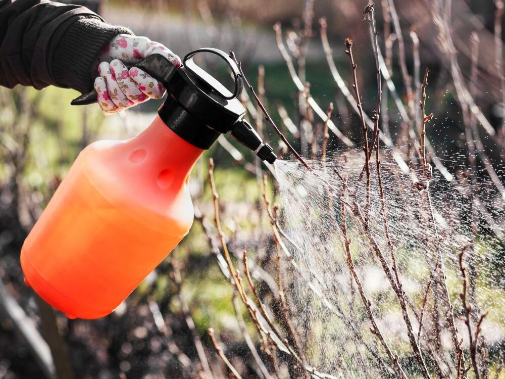 Dormant Spraying 101: A Late Winter Guide to Healthier Fruit Trees ...