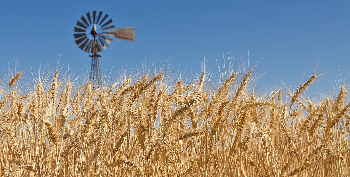 Shop Home, Backyard, Pet, Farm & Rural Lifestyle - Wilco Farm Stores